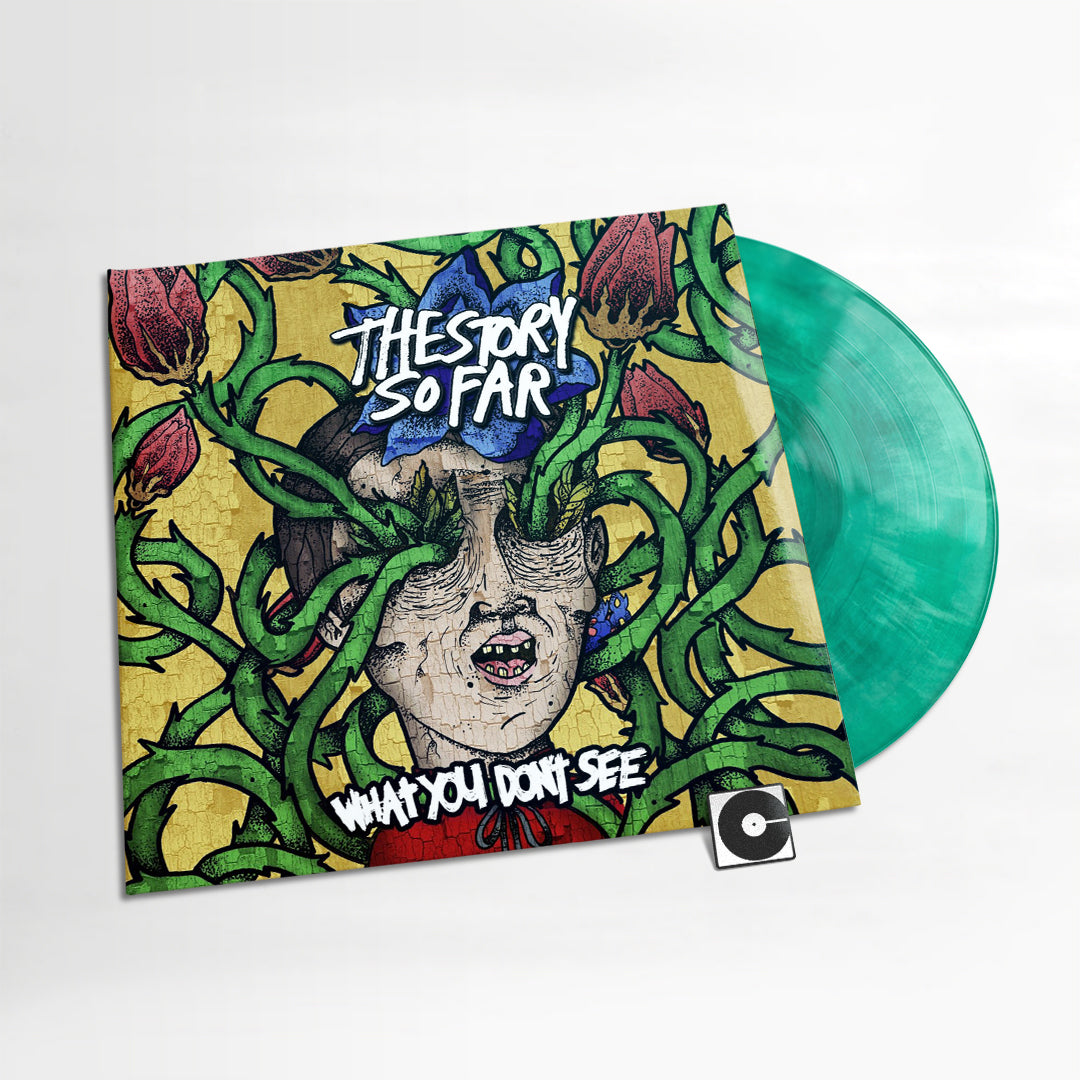 The Story So Far - "What You Don't See" – ComebackVinyl.com