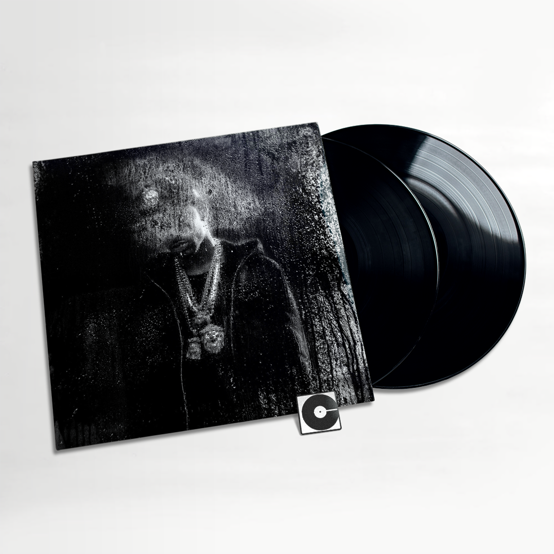 Big Sean - "Dark Sky Paradise" – ComebackVinyl.com