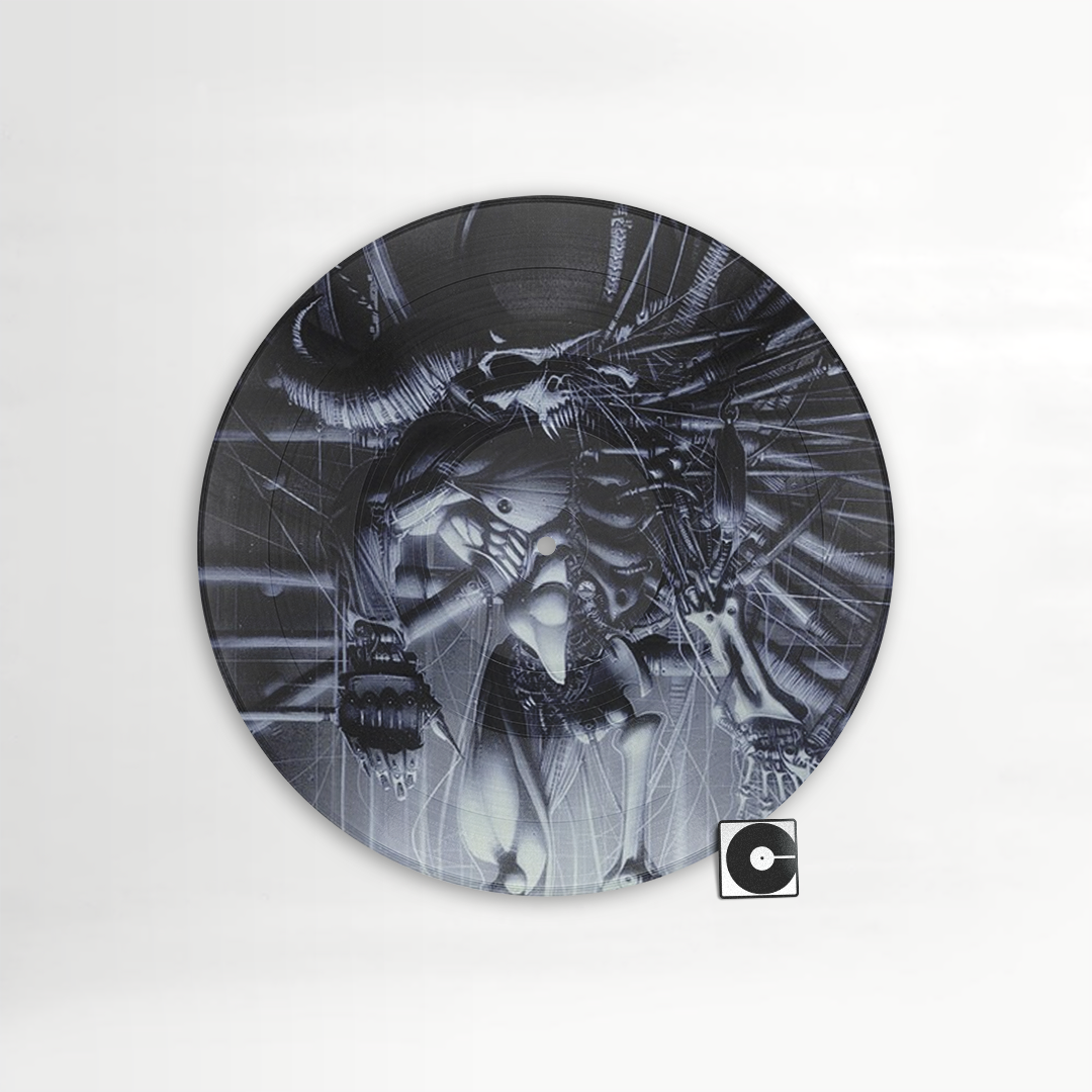 Danzig - "Danzig 5: Blackacidevil" Picture Disc – ComebackVinyl.com